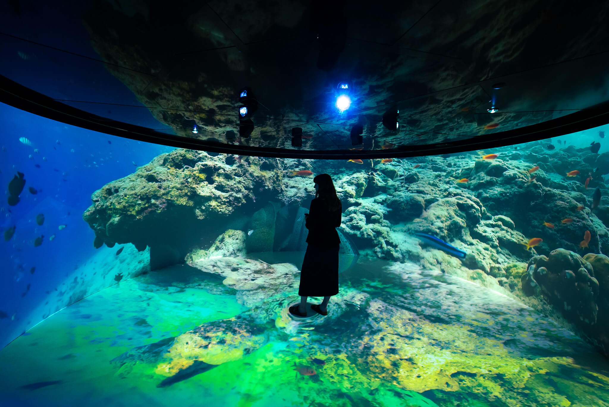 Start of works on XR Centre of Excellence at ARU Peterborough - Cambridgeshire & Peterborough ...